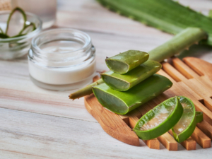 5 Elements Spa: Organic Element Spa and Body Rituals in Florida