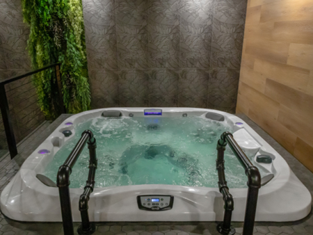 Elements Wellness Room: Immersive Spa Amenities for All Guests
